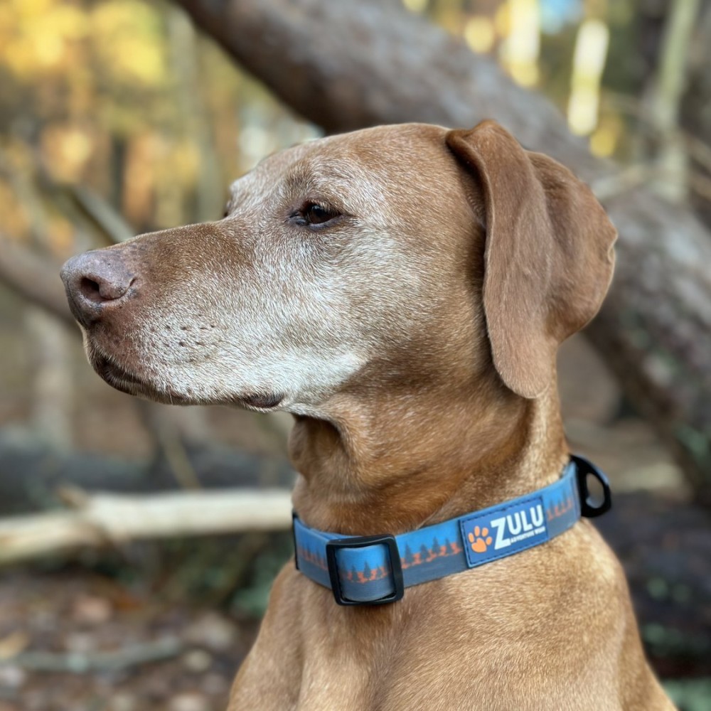 zulu adventure dog collar - Cotswold Pet Supplies - Dog Collars and ...